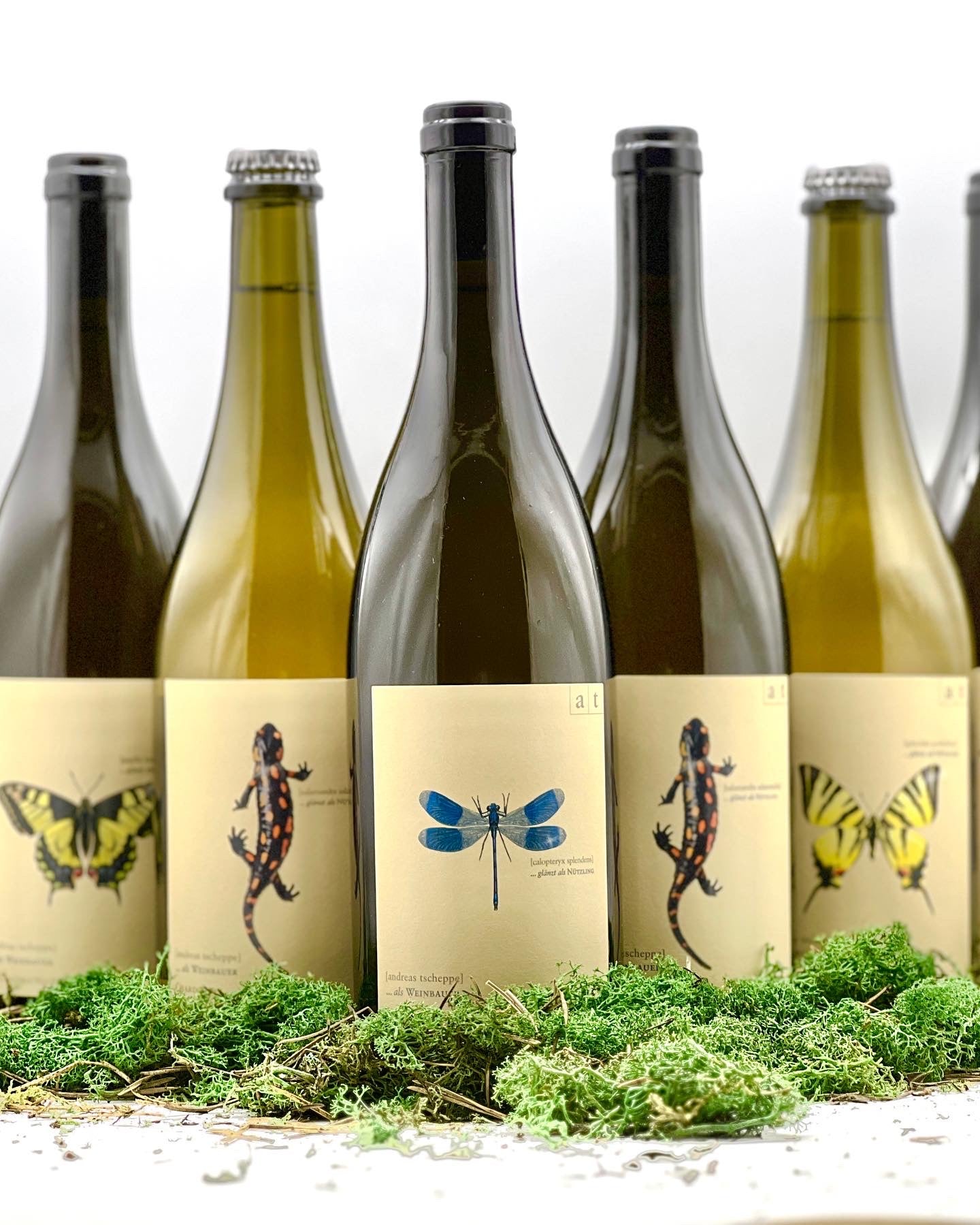 AMAZING MAY WINES! – MORE Natural Wine